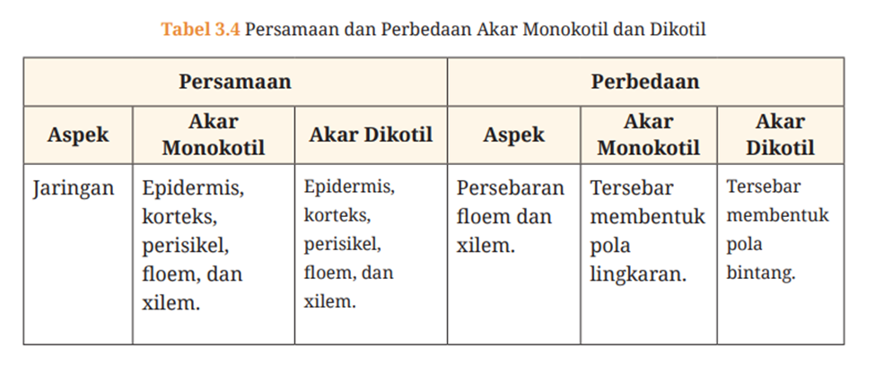 Kunci Jawaban Biologi Kelas 11 Halaman 66, 67, 68 Kurikulum Merdeka