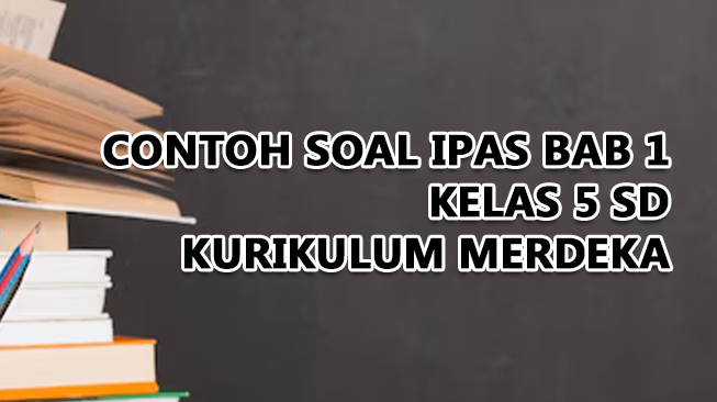 Contoh Soal IPAS Bab 3 kelas 5 Kurikulum Merdeka dan Kunci Jawaban ...